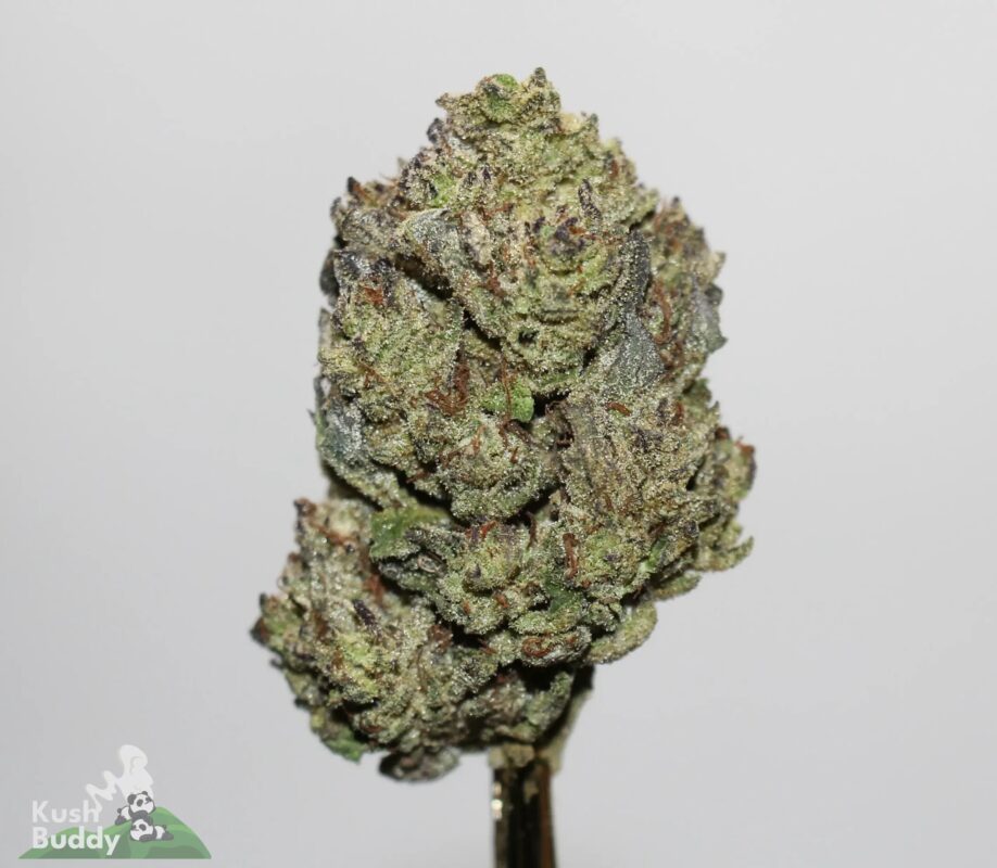 black diamond strain - luckyelkthca.com